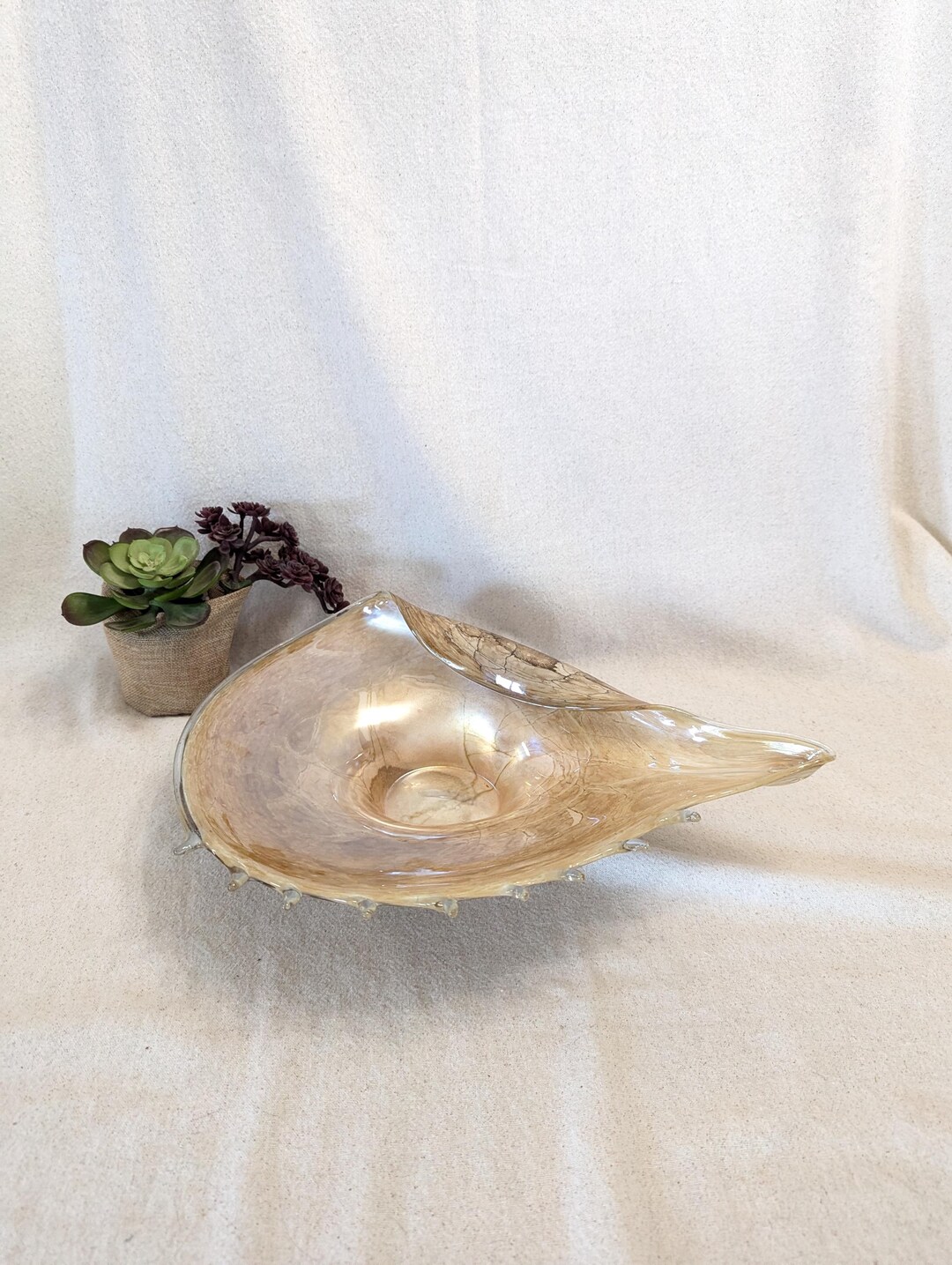 Glass Shell - Krosno Jozefina Art Glass Conch - Poland - Irridescent in ...