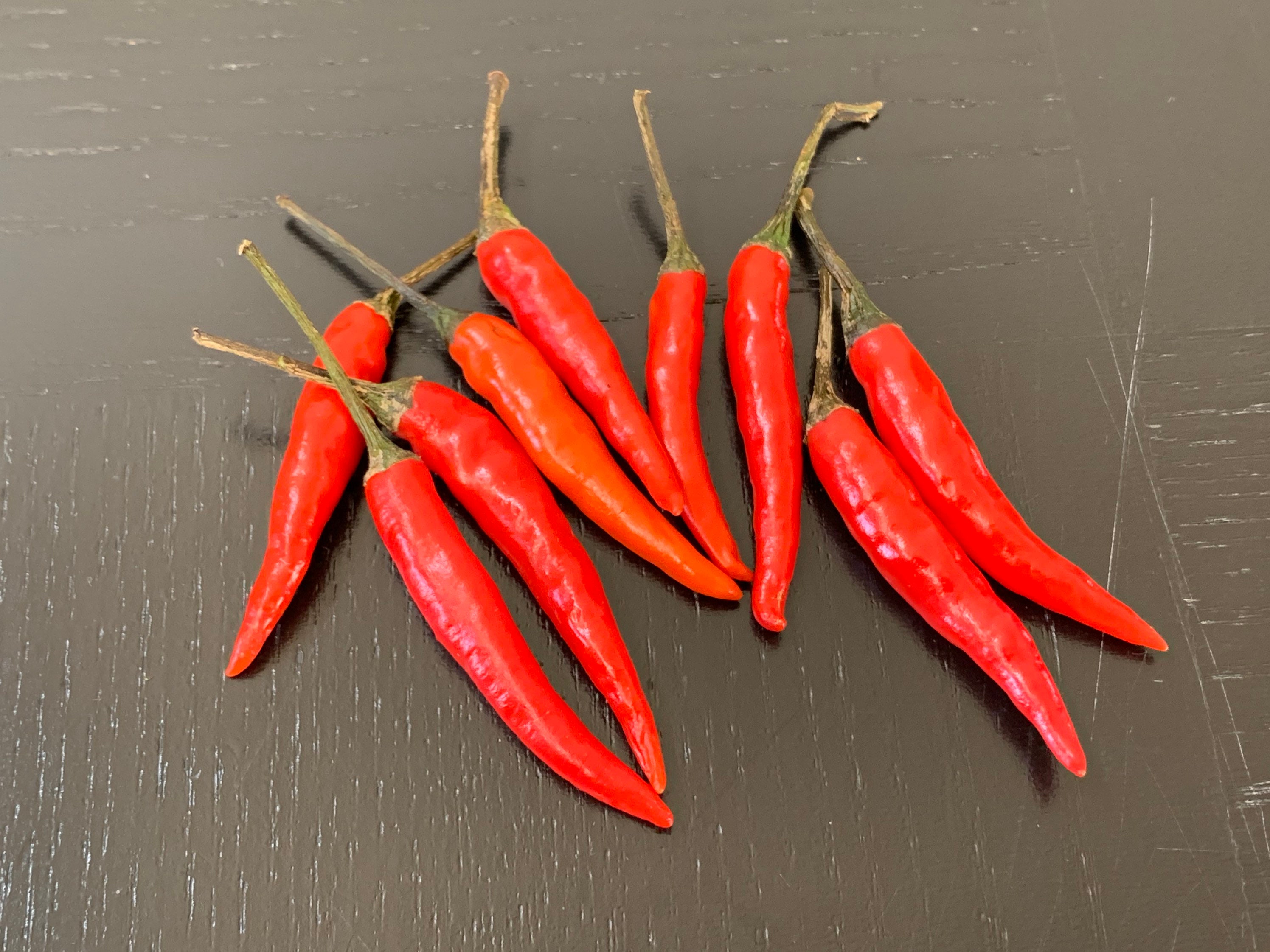 40 Thai Chili Seeds (please Read Description) - Etsy