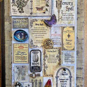 Spell Book Apothecary Potions Case Book Nook 4 Cover - Etsy