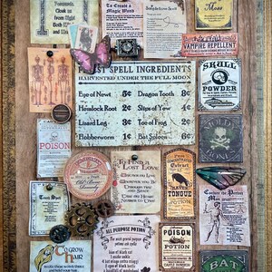 Spell Book Apothecary Potions Case Book Nook 4 Cover Designs - Etsy