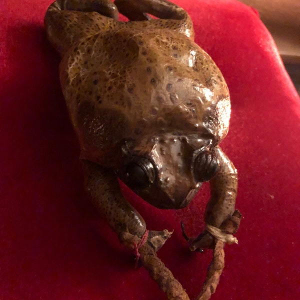 Frog Purse - Etsy