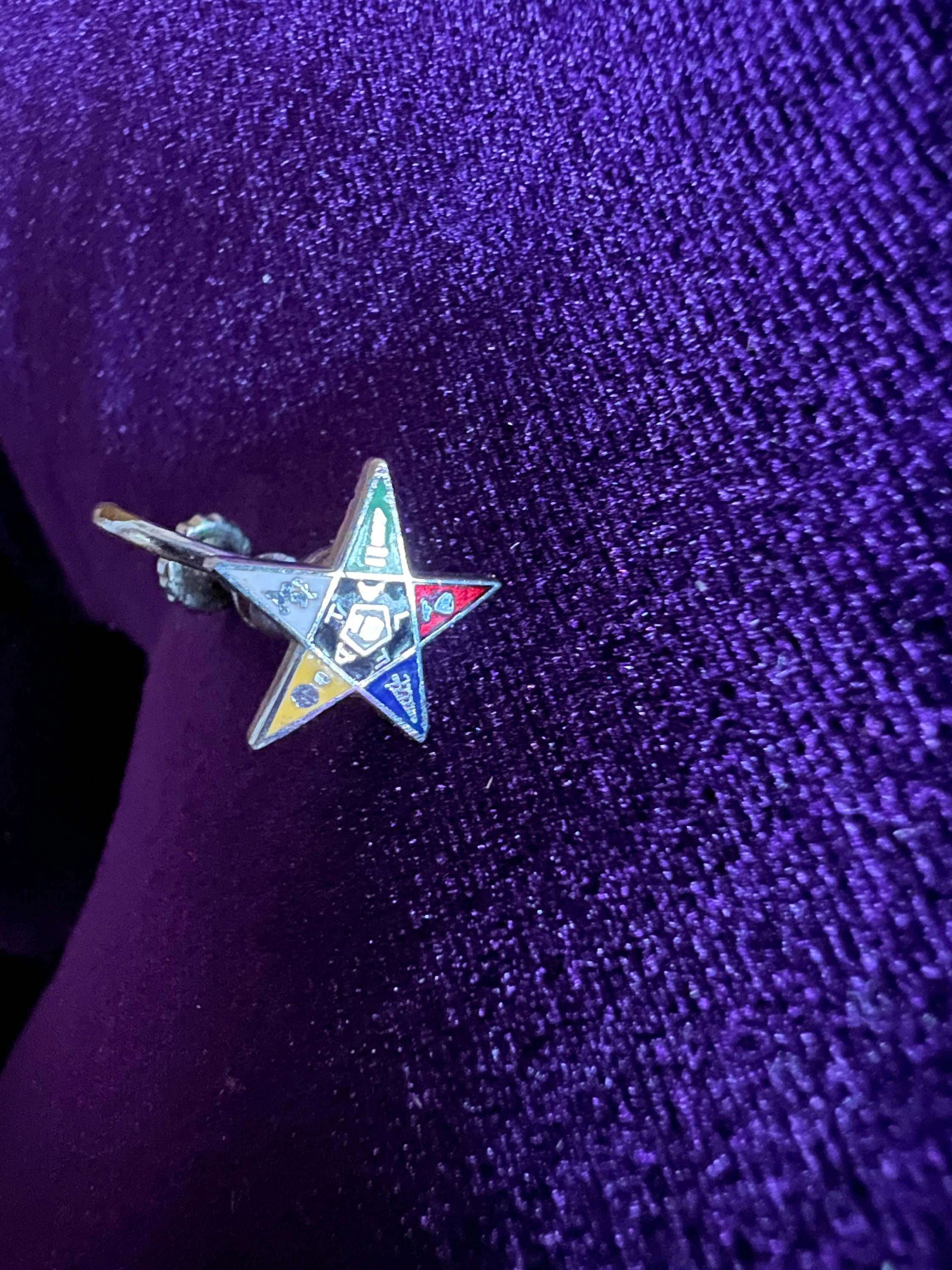 Rare Masonic Order of the Eastern Star Earring - Etsy