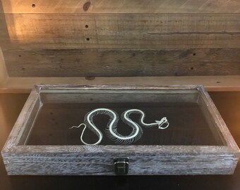 Wooden Snake Box - Etsy