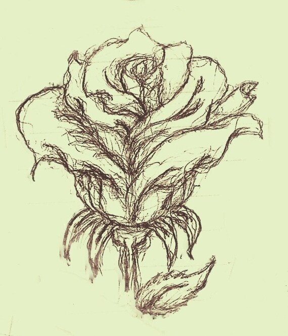 Single Rose Pencil Drawing