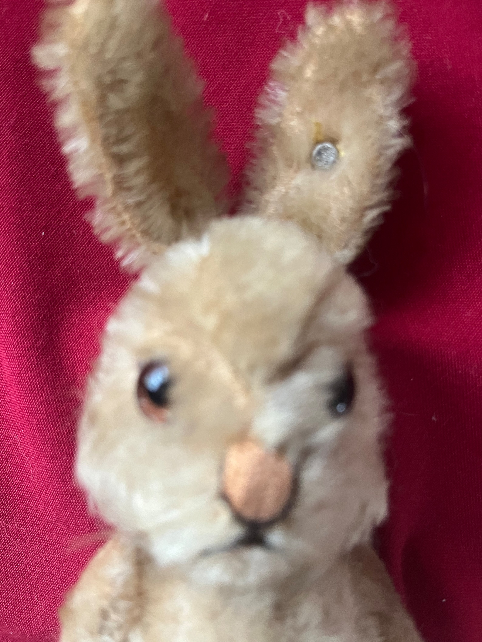 Rare Vintage Steiff Nikki Rabbit - Etsy