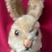 Rare Vintage Steiff Nikki Rabbit - Etsy