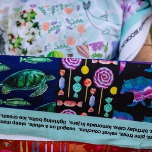 Minky Quilt Panel - Hidden Pictures Eye Spy Quilt Kit for Kids - Easy ...