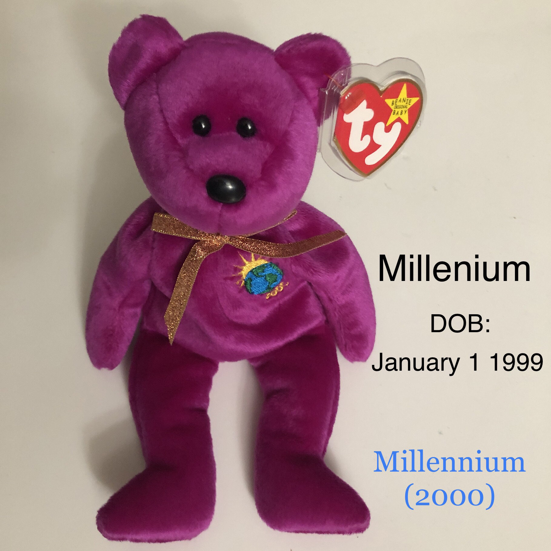 Vintage Ty Beanie Babies Collectible Bear plastic Case Available - Etsy