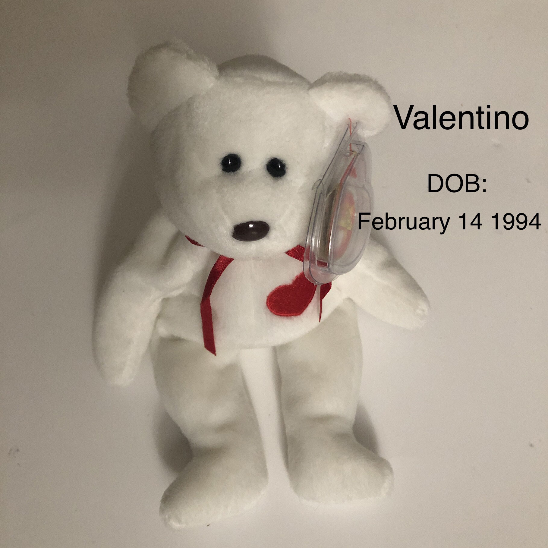 Vintage Ty Beanie Babies Collectible Bear plastic Case Available - Etsy