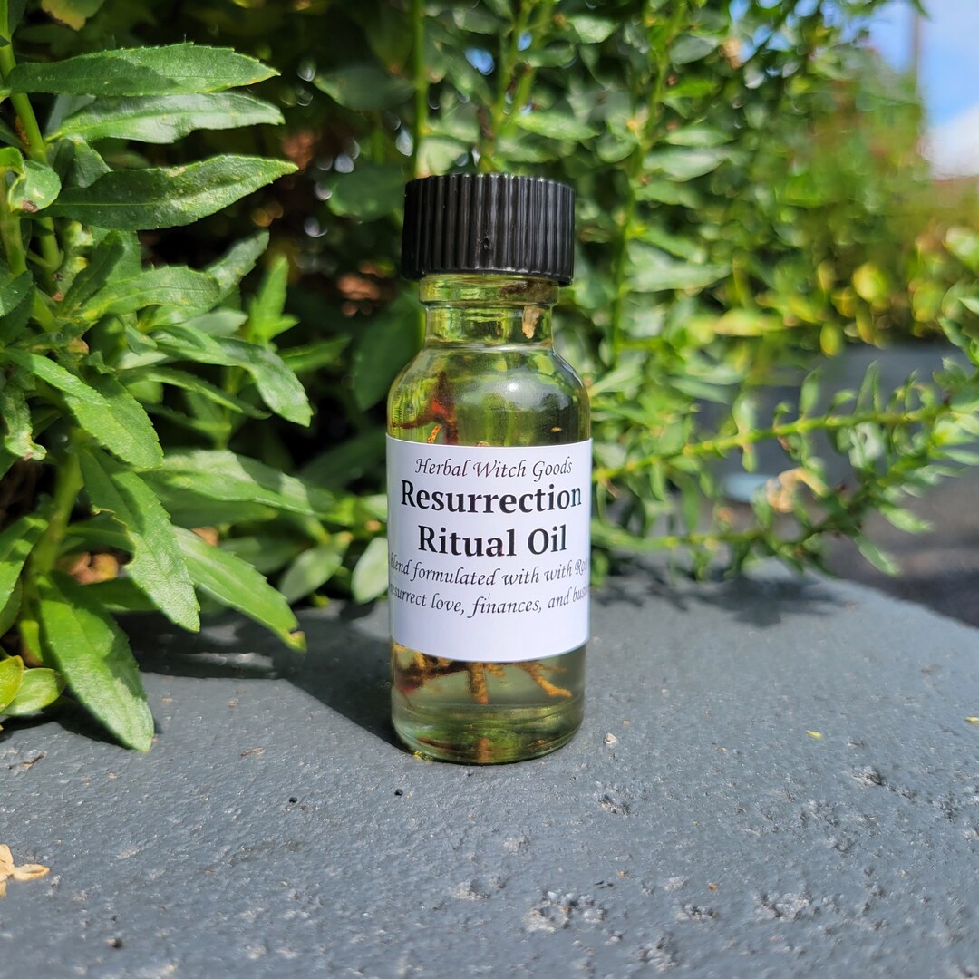 Resurrection rose of Jericho: Revive & Restore - Etsy