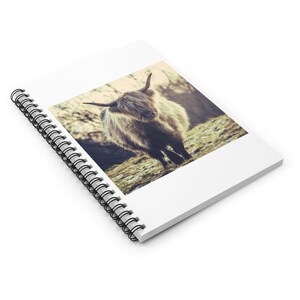 Scottish Highland Cow Notebook Scottish Highland Cow Journal - Etsy