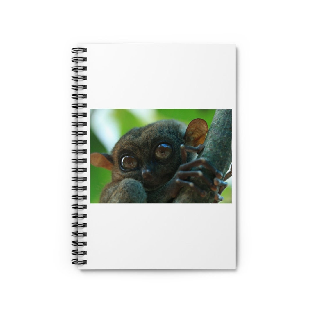 Bush Baby Notebook Bush Baby Journal Ruled Line Pages Gift Idea ...