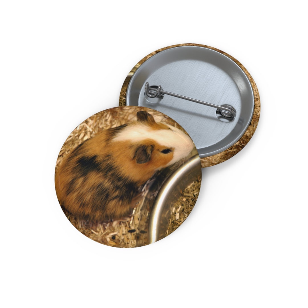 Guinea Pig Pin, Guinea Pig Button, Button Set, Lapel Pin, Hat Pin ...