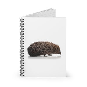 Hedgehog Isolated Notebook Hedgehog Isolated Journal Ruled Line Pages ...