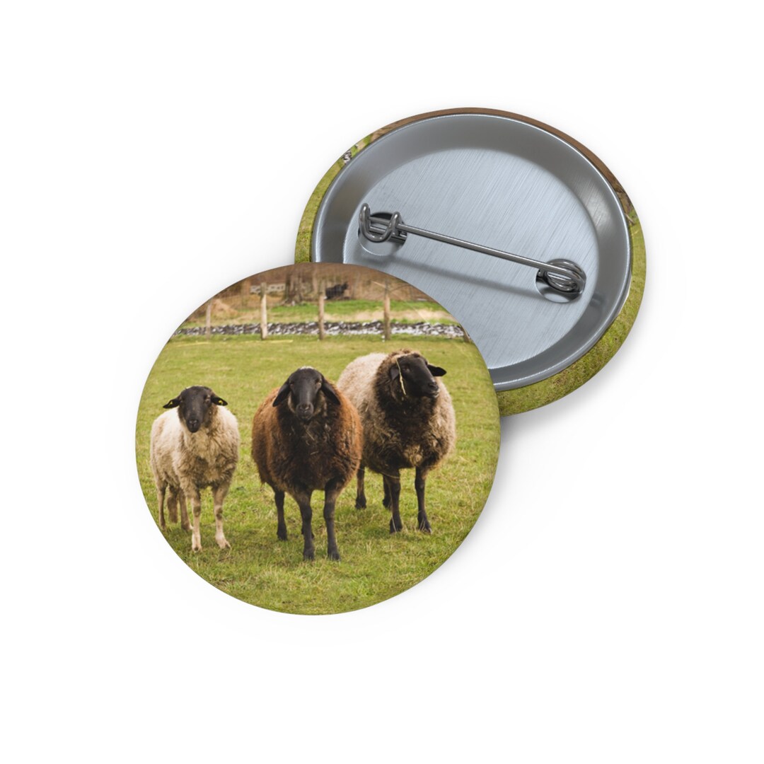 Domestic Sheep Pin, Domestic Sheep Button, Button Set, Lapel Pin, Hat ...