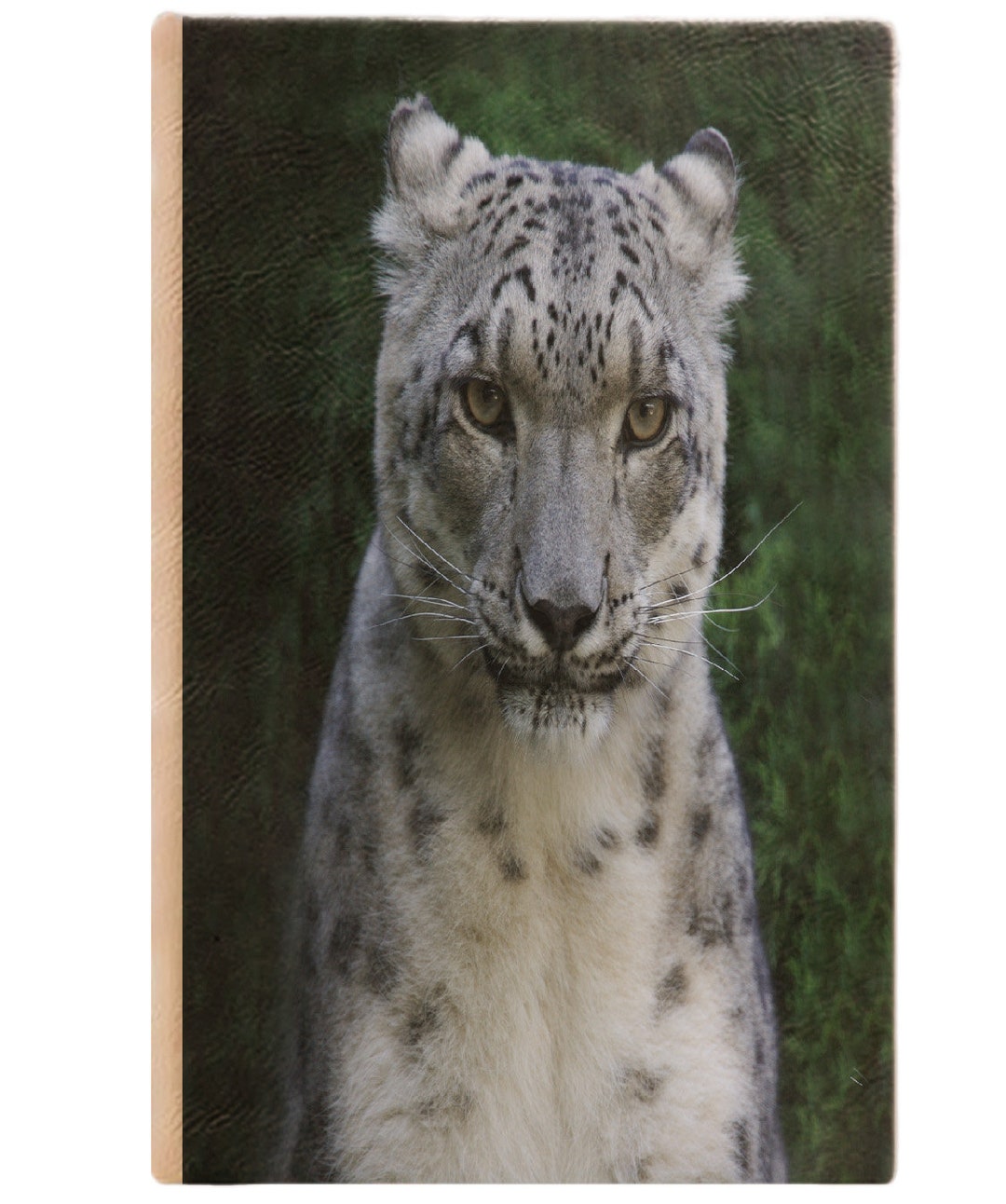 Snow Leopard Notebook, Snow Leopard Journal, Ruled Line Pages, Gift ...