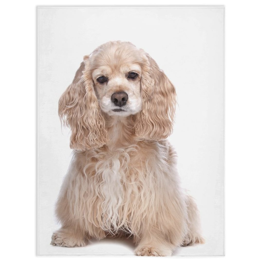 American Cocker Spaniel Blanket, American Cocker Spaniel Lover Gift ...