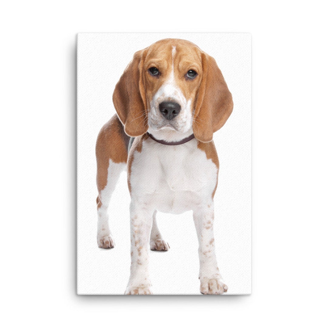 Beagle Canvas, Beagle Wall Canvas Print, Beagle Decor, Portrait, Wall ...
