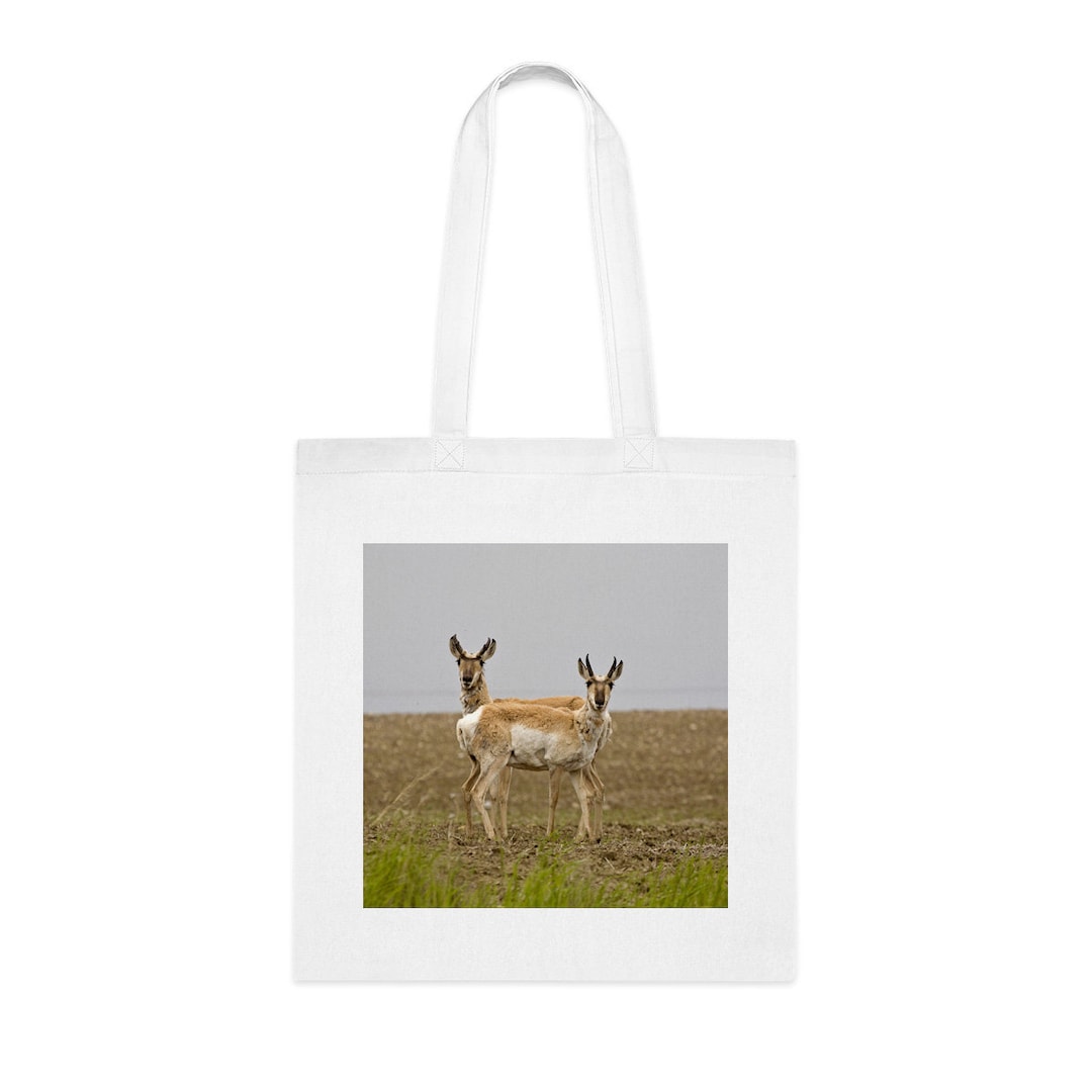 Pronghorn Antelope Tote Bag, Funny Antelope Gift, Shoulder Bag ...