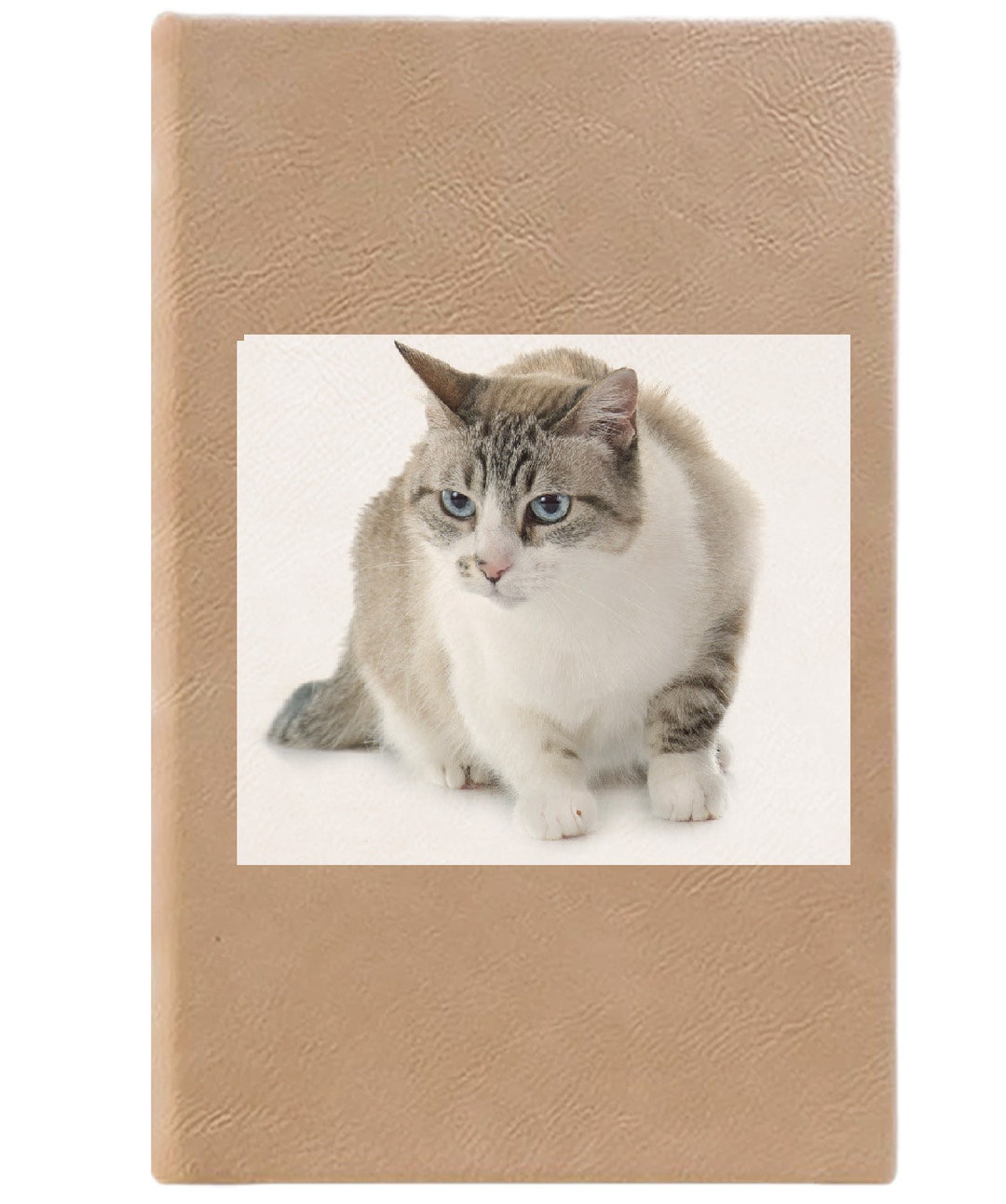 Siamese Cat Notebook, Siamese Cat Journal, Ruled Line Pages, Gift Idea ...