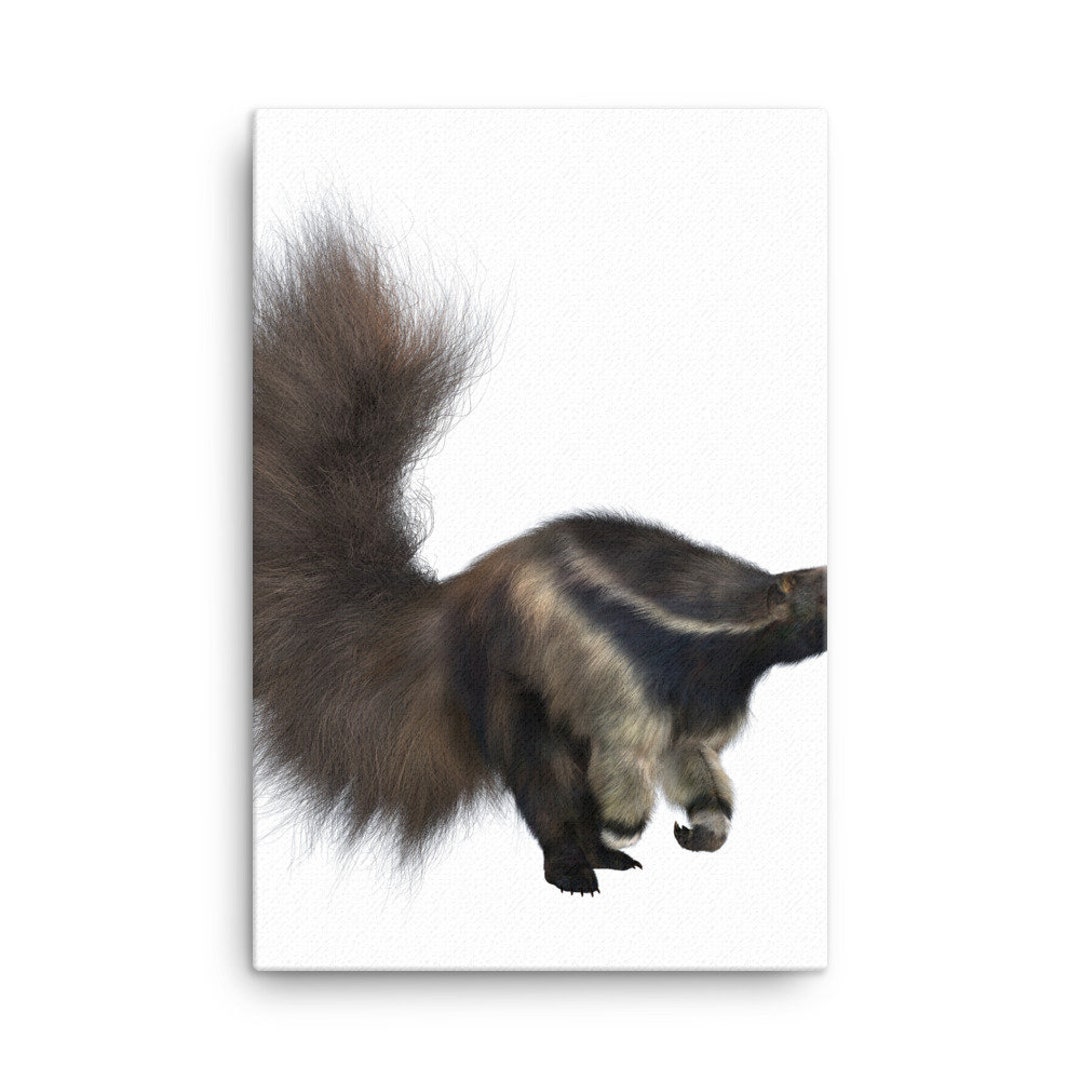 Giant Anteater Canvas, Giant Anteater Wall Canvas Print, Giant Anteater ...