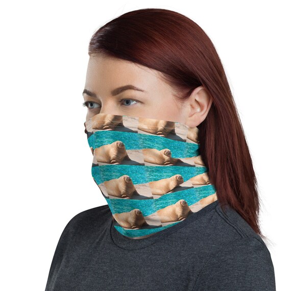 Walrus Face Mask