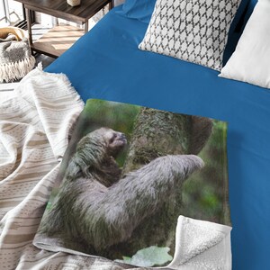 Sloth Blanket, Gift for Sloth Lover, Sloth Lover Gift Idea, Sloth in ...