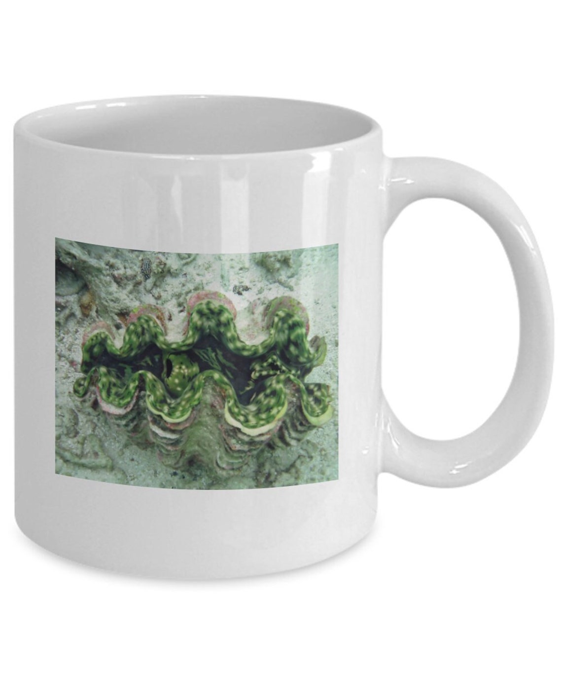 Giant Clam Mug Giant Clam Coffee Cup Giant Clam Kitchen - Etsy