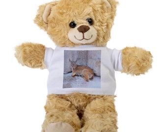 Miniature Pinscher Teddy Bear, Gift Stuffed Animal, Plush Teddy Bear ...