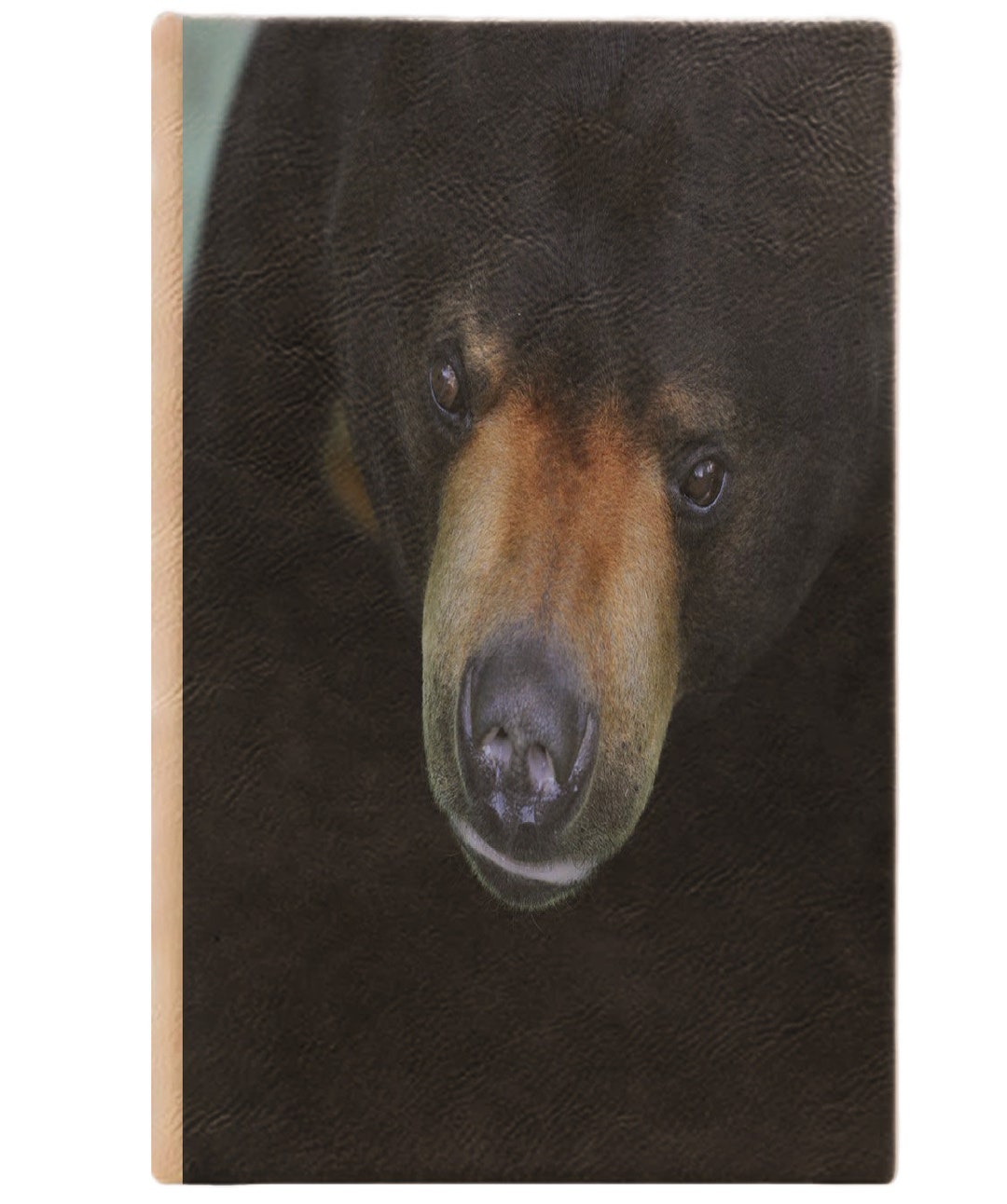 Bear Notebook , Bear Journal ,ruled Line Pages, Gift Idea, Gratitude ...