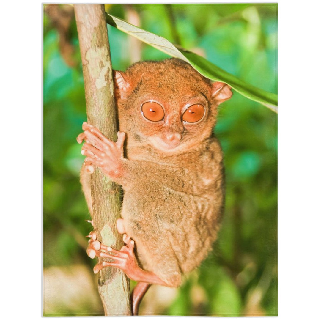 Tarsier Monkey Blanket, Tarsier Monkey Lover Gift, Fleece Blanket ...