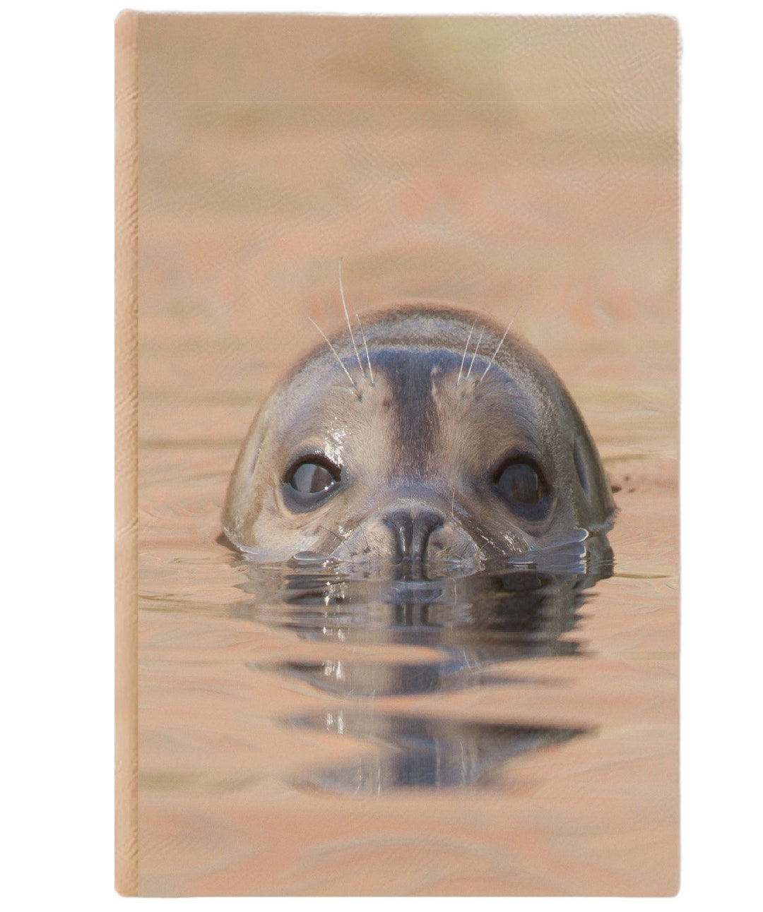 Common Seal is Swimming Notebook, Seal Journal ,ruled Line Pages, Gift ...
