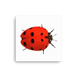 Ladybug Canvas, Ladybug Wall Canvas Print,ladybug Decor, Portrait, Wall ...