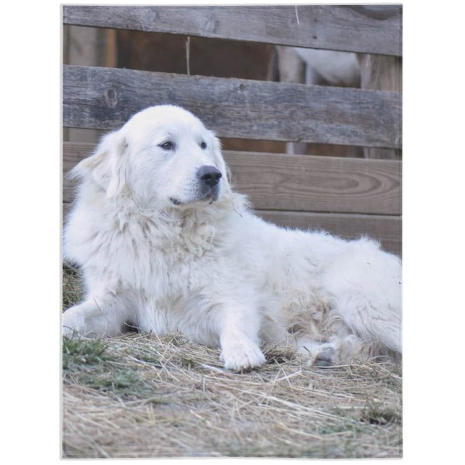 Great Pyrenees Blanket, Great Pyrenees Lover Gift, Fleece Blanket ...