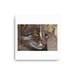 Fishing Cat Canvas, Fishing Cat Wall Canvas Print, Fishing Cat Decor ...