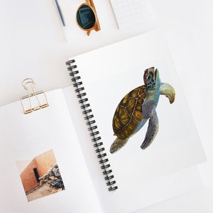 Green Sea Turtle Profile Notebook Green Sea Turtle Profile Journal ...