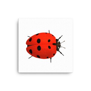 Ladybug Canvas, Ladybug Wall Canvas Print,ladybug Decor, Portrait, Wall ...