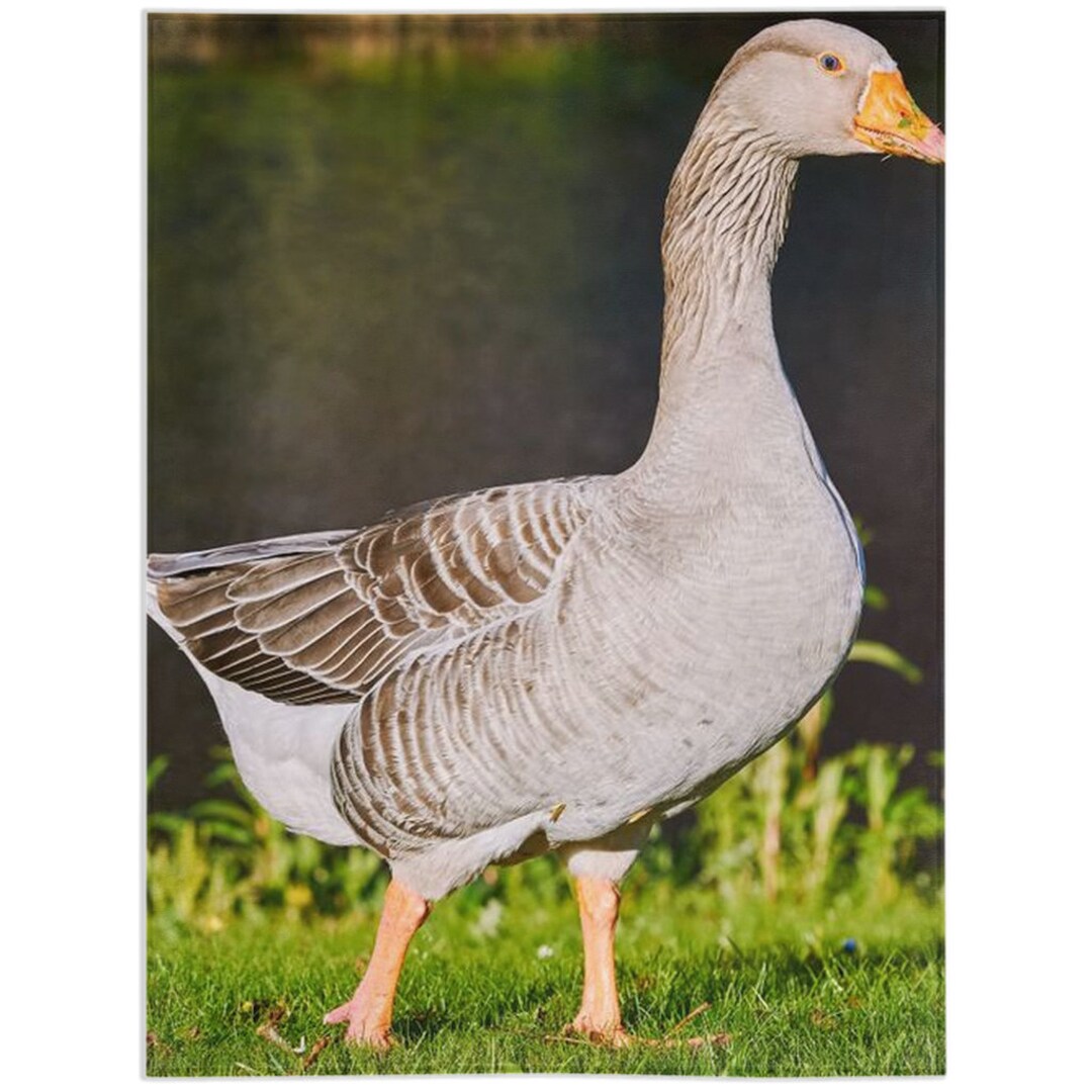 Grey Goose Blanket, Grey Goose Lover Gift, Fleece Blanket, Gifts ...