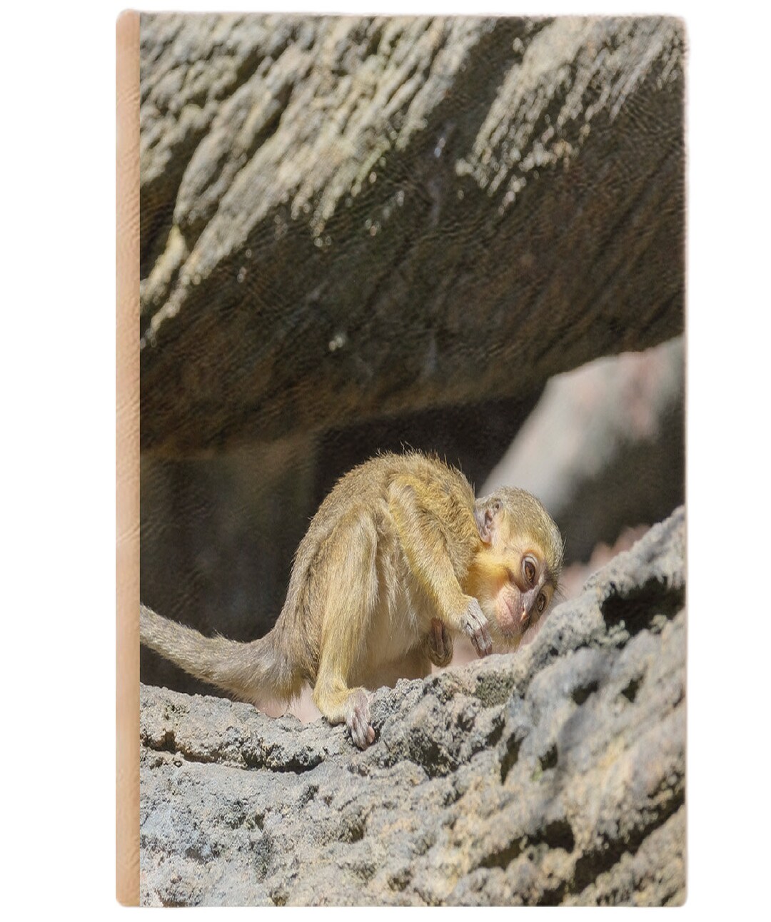 Monkey Notebook, Monkey Journal, Ruled Line Pages, Gift Idea, Gratitude ...