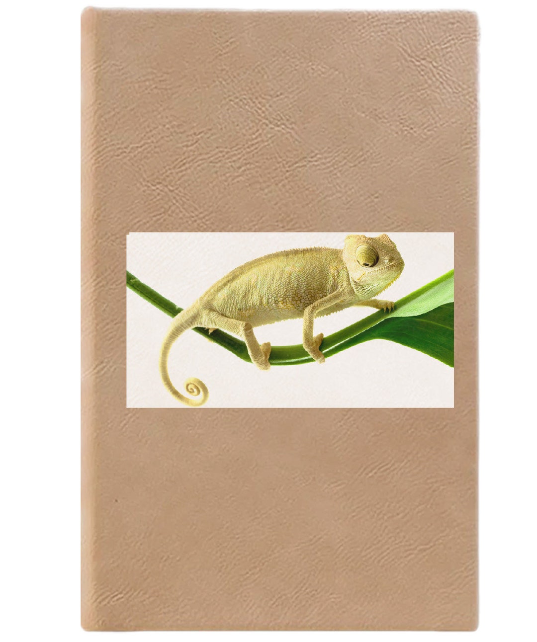 Chameleon Notebook, Chameleon Journal ,ruled Line Pages, Gift Idea ...