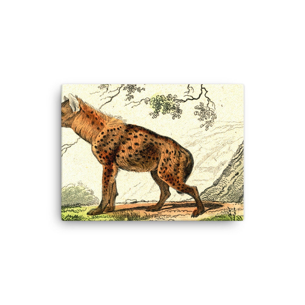 The Spotted Hyena Canvas the Spotted Hyena Wall Canvas - Etsy