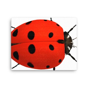 Ladybug Canvas, Ladybug Wall Canvas Print,ladybug Decor, Portrait, Wall ...
