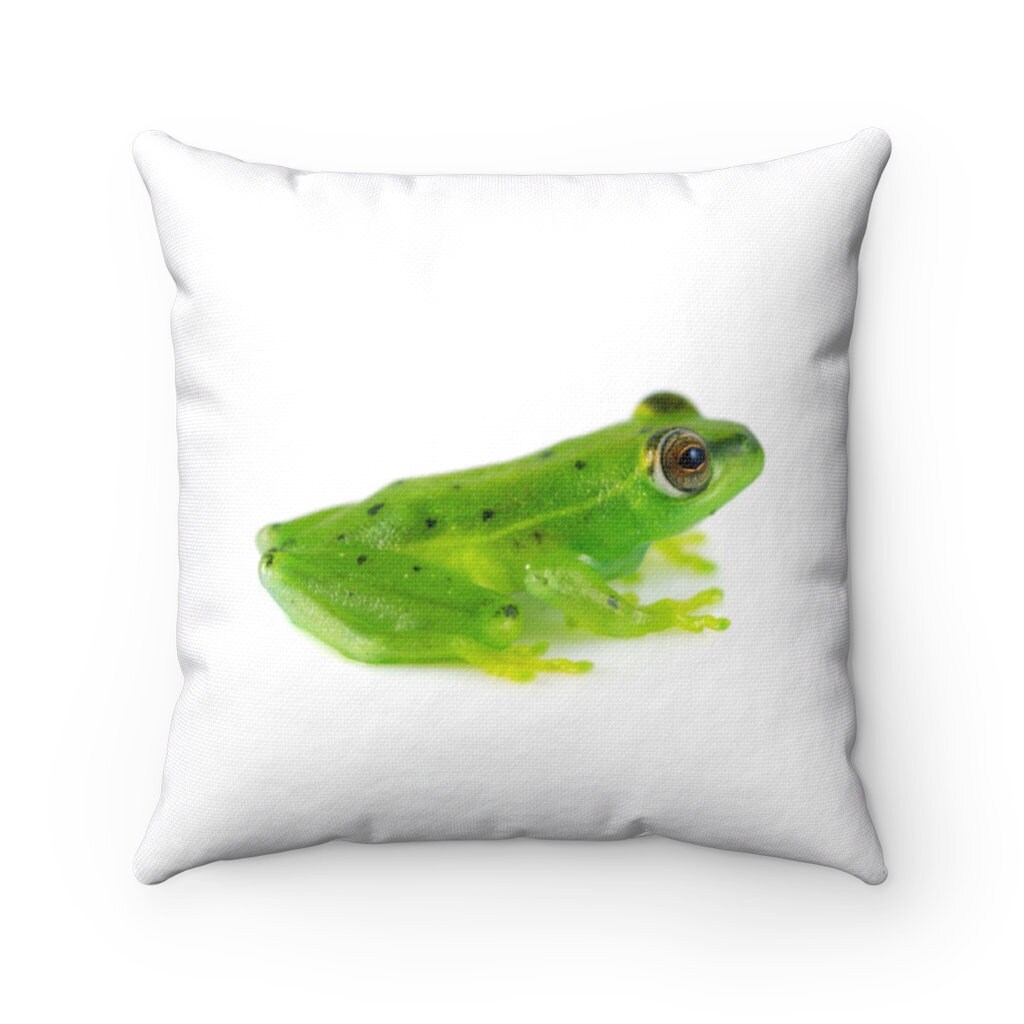 Frog Pillow Frog Throw Pillow Custom Throw Pillow Pillow - Etsy 日本