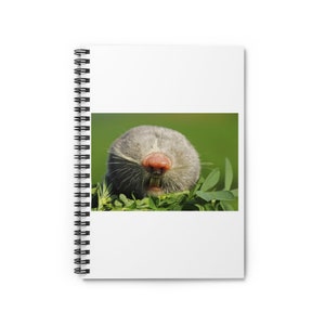 Lesser Mole Rat Notebook Lesser Mole Rat Journal Ruled Line Pages Gift ...