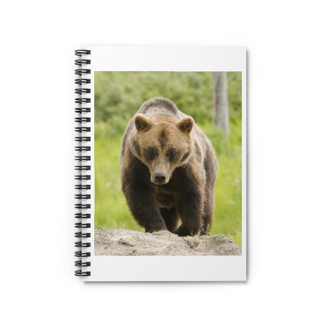 Grizzly Bear Notebook Grizzly Bear Journal Ruled Line Pages Gift Idea ...