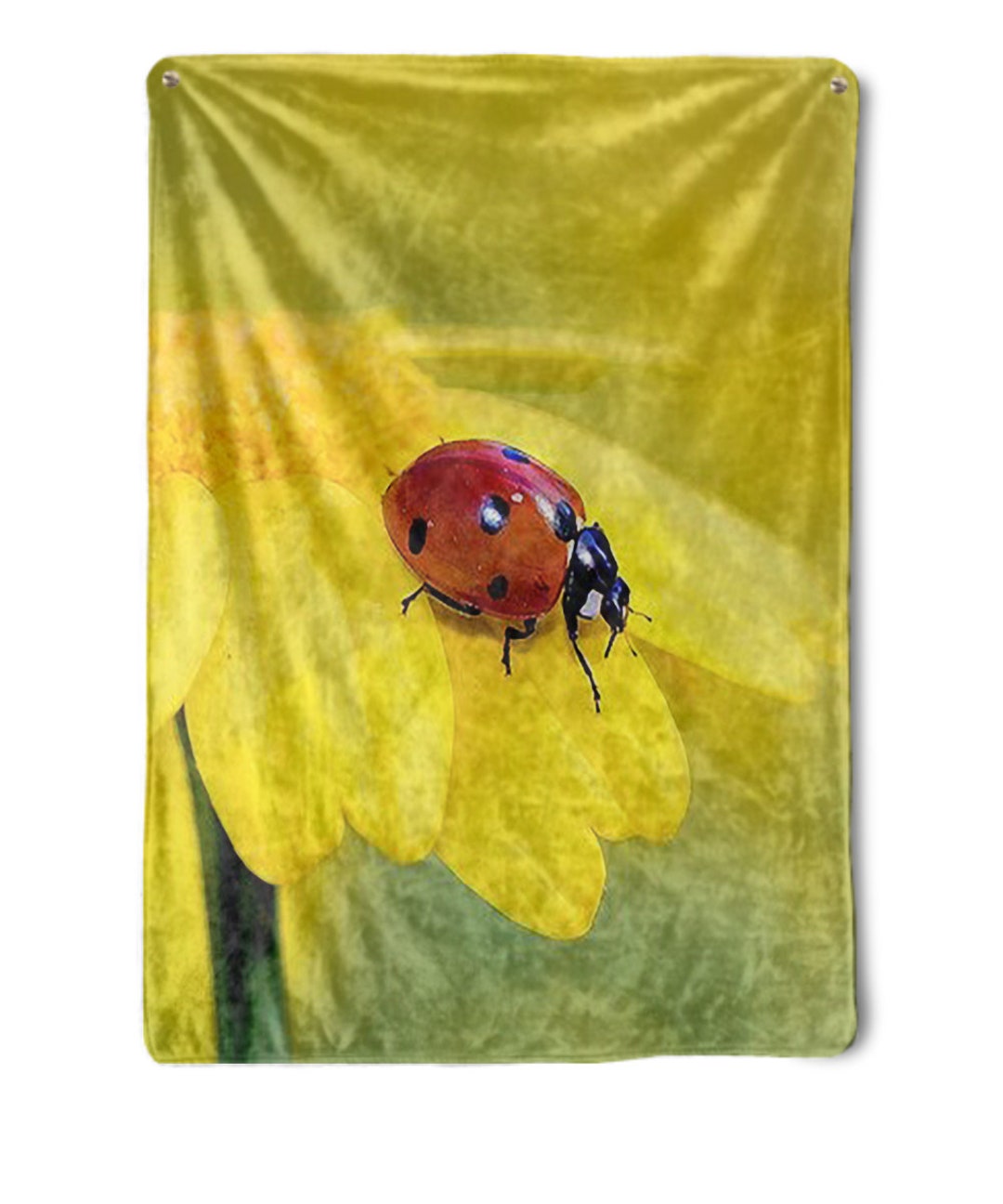 Ladybug Blanket, Gift for Ladybug Lover, Ladybug Gift Idea - Etsy