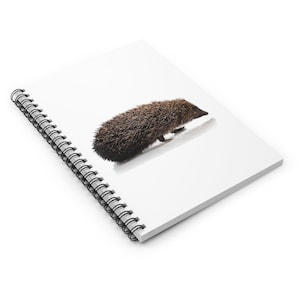 Hedgehog Isolated Notebook Hedgehog Isolated Journal Ruled Line Pages ...