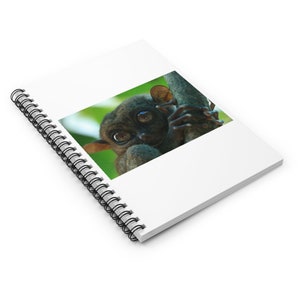 Bush Baby Notebook Bush Baby Journal Ruled Line Pages Gift Idea ...