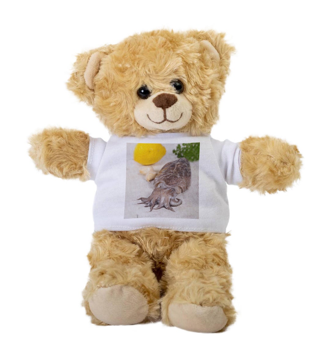 Raw Cuttlefish Teddy Bear Raw Cuttlefish Gift Stuffed Animal - Etsy