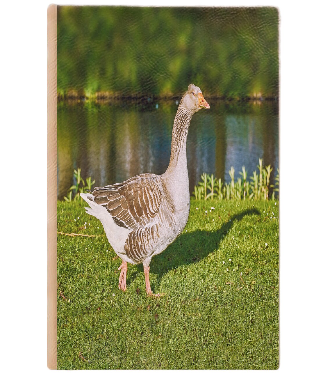 Walk Along the River Notebook, River Journal, Ruled Line Pages, Gift ...